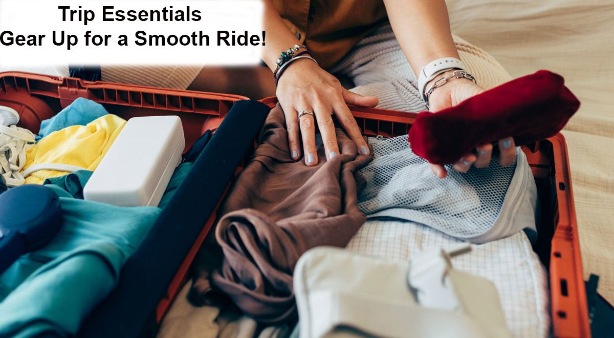 Amtrak Carolinian Train: Stops, Stations, Route, Schedule, & Booking ...